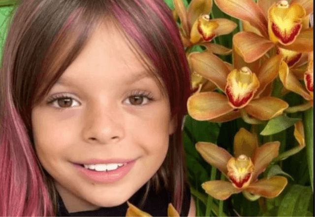 Polícia Do Paraná Investiga Morte De Aluna De 10 Anos Após Passar Mal